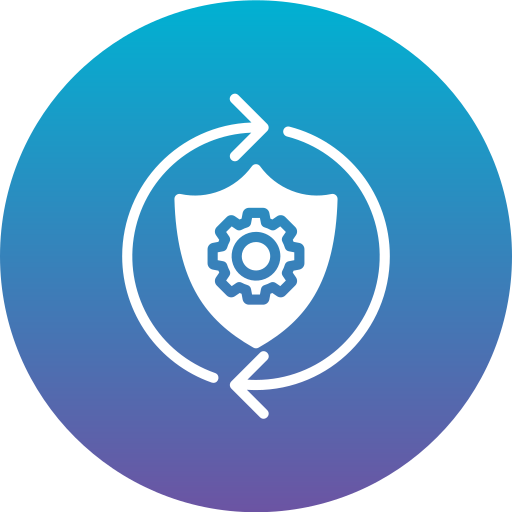 Application Management Support (AMS) — Shelorve LLC